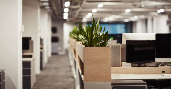 Understanding Red Book Valuations in Commercial Property